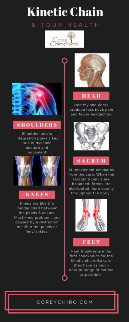 The Kinetic Chain & Our Health | | Corey Chiropractic
